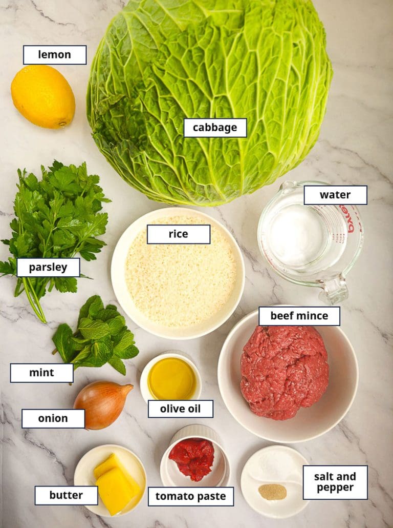 Greek Stuffed Cabbage Rolls (Lahanodolmades) with Lemon Sauce - mum's ...